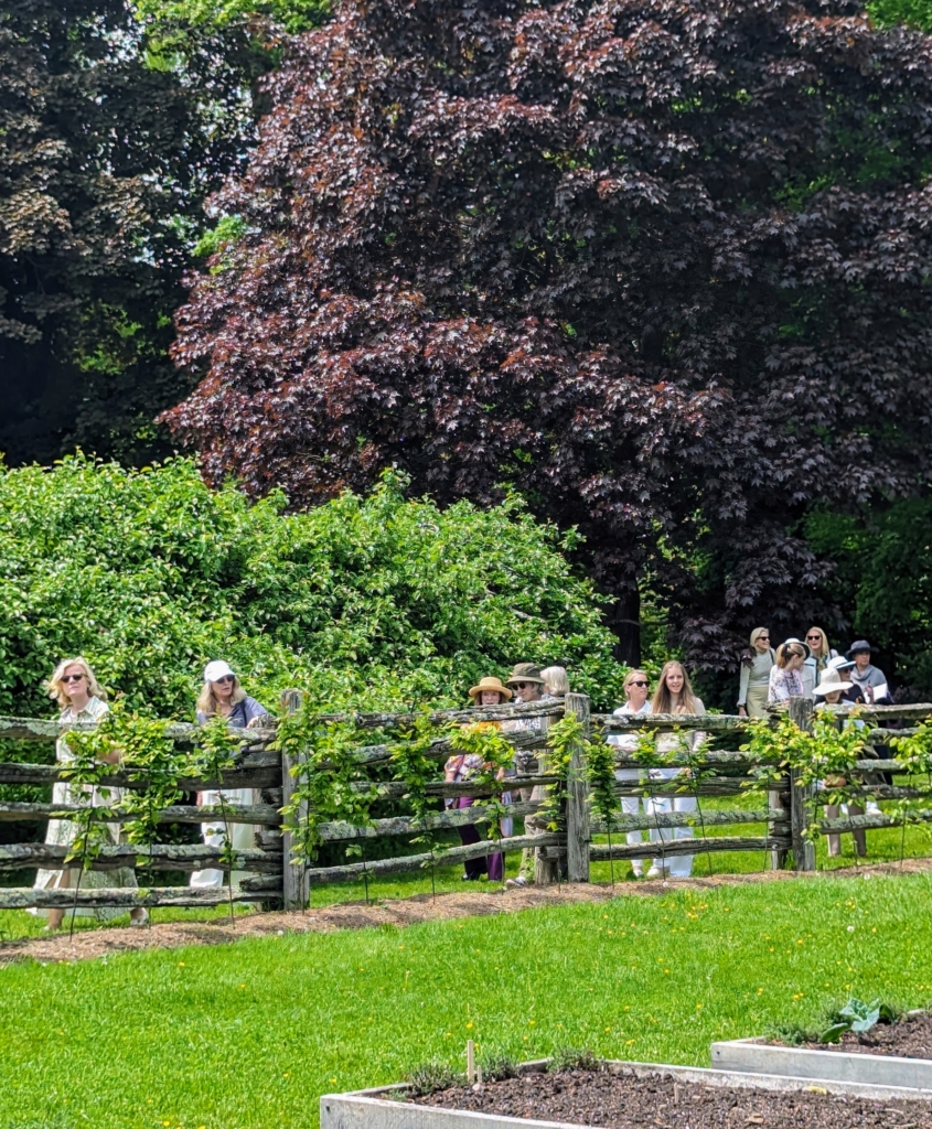 The Martha Stewart Blog : Blog Archive A Spring Garden Tour - The ...