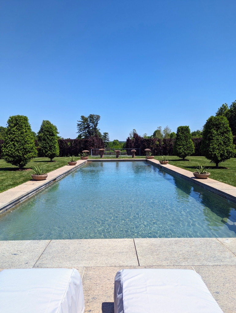 Displaying Potted Agaves Around the Pool - The Martha Stewart Blog