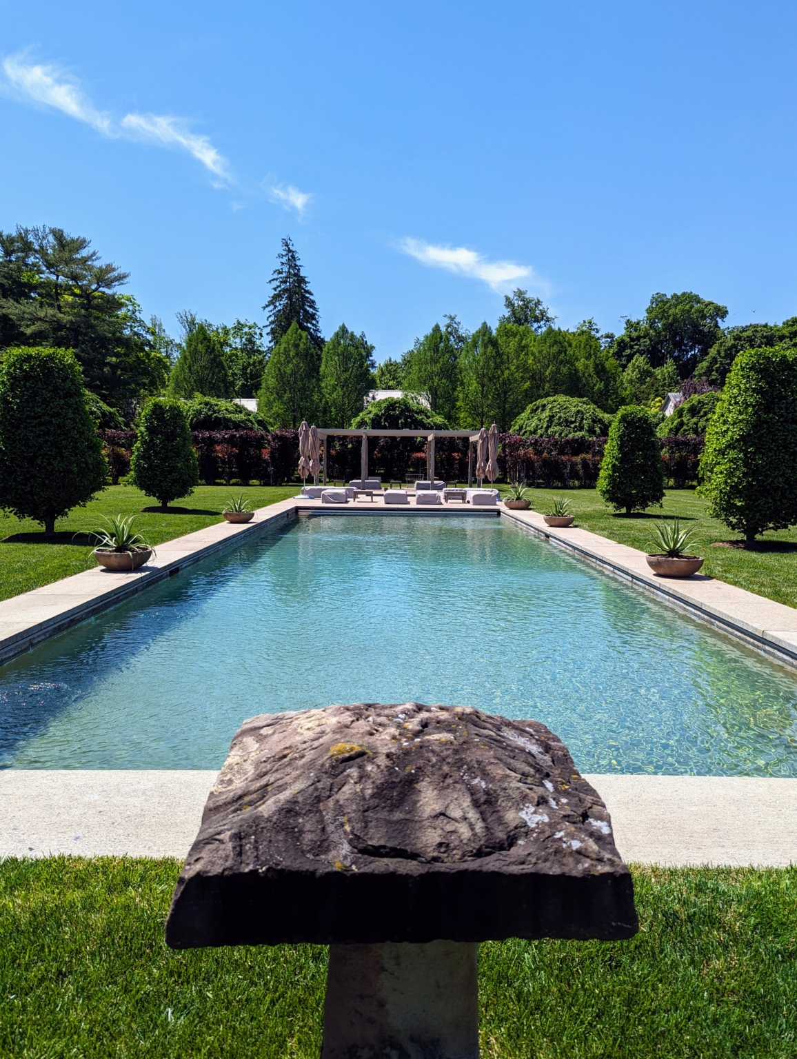 Displaying Potted Agaves Around the Pool - The Martha Stewart Blog
