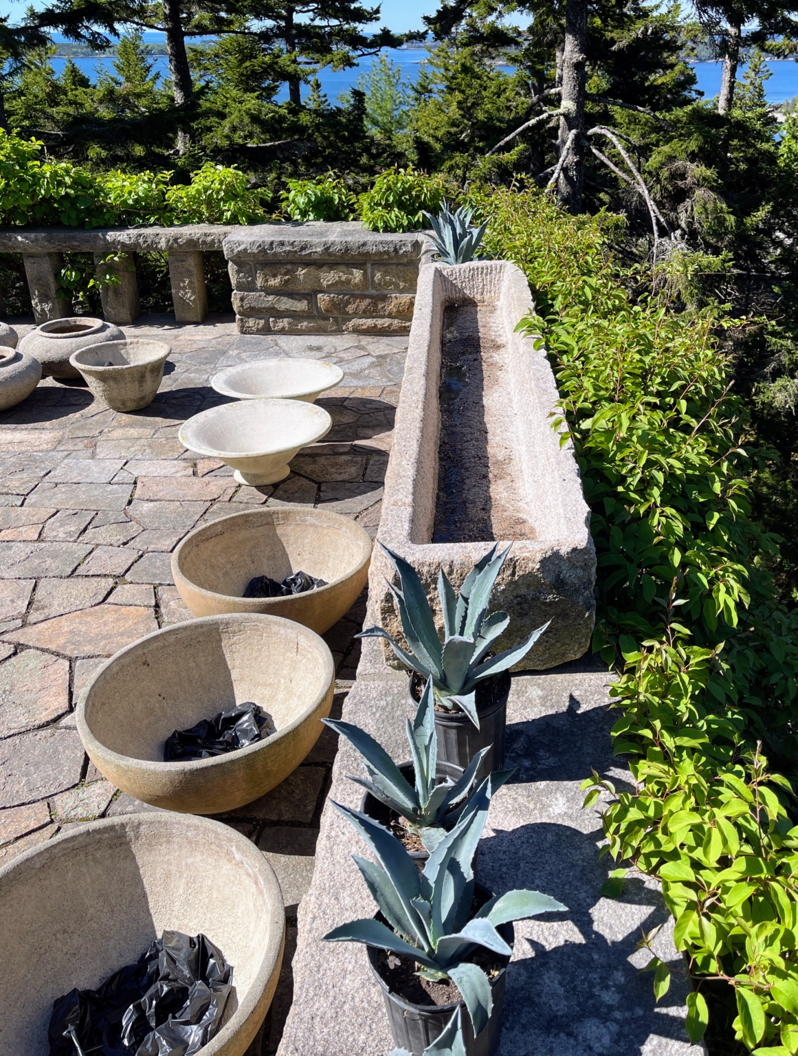 Planting the Skylands Terrace 2024 - The Martha Stewart Blog