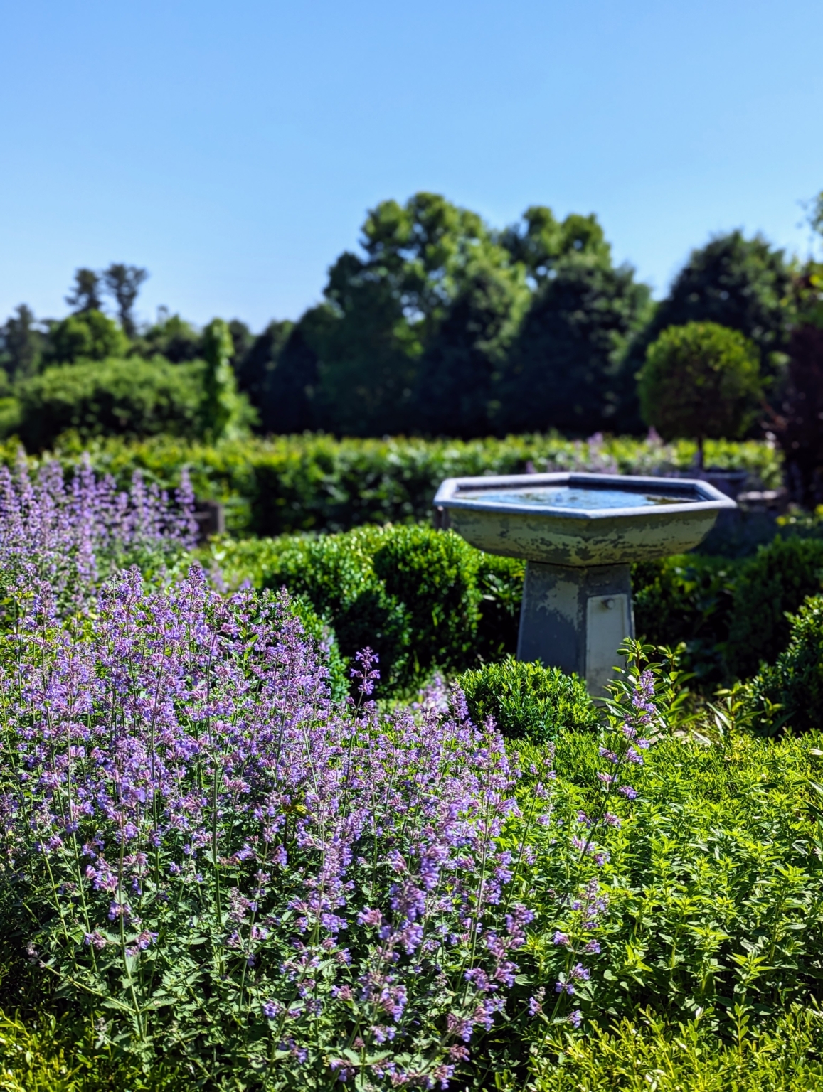 A Late Spring Breakfast and Garden Tour - The Martha Stewart Blog