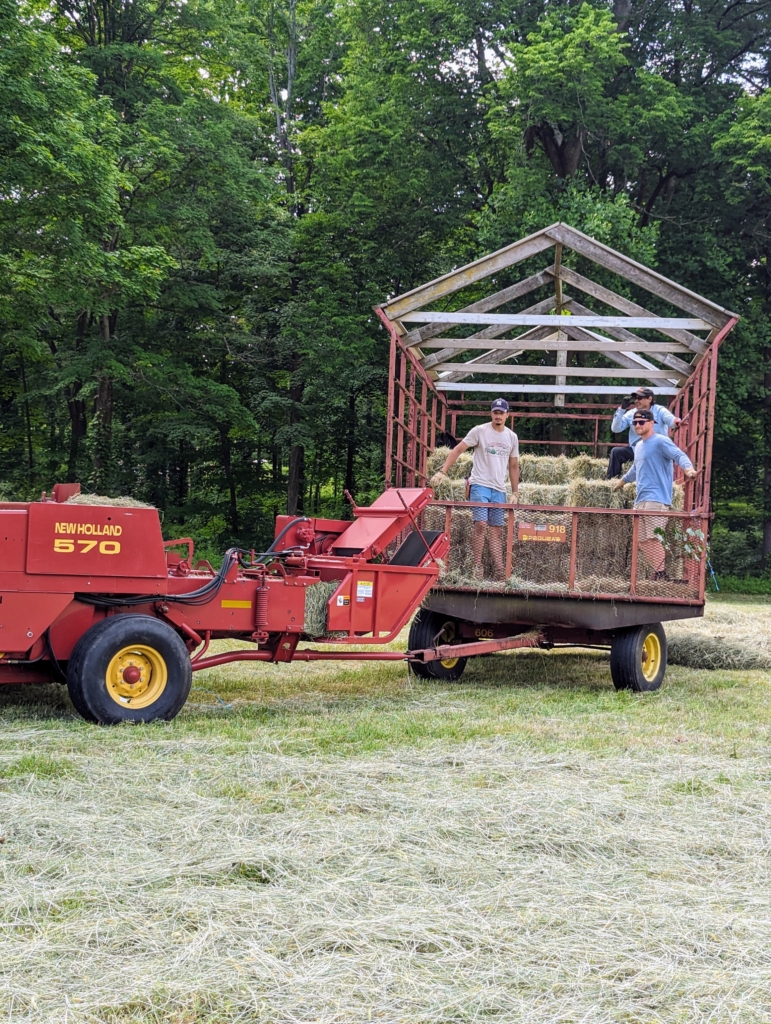 The First Cut of Hay 2024 - The Martha Stewart Blog
