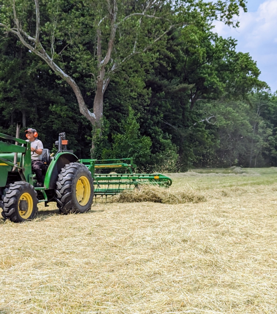 The First Cut of Hay 2024 - The Martha Stewart Blog