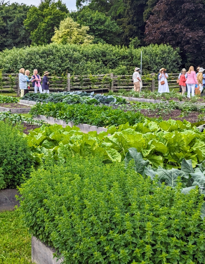 A June Garden Tour for The Garden Club of America - The Martha Stewart Blog