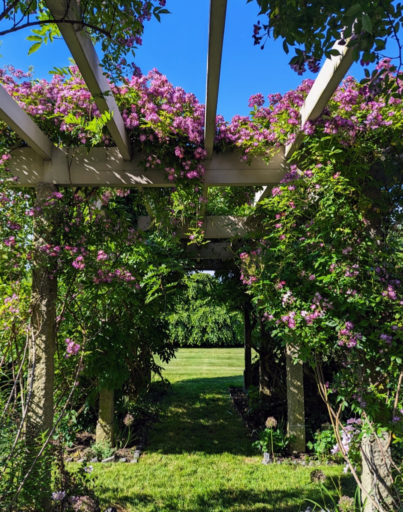 The Martha Stewart Blog : Blog Archive A June Garden Tour for The ...