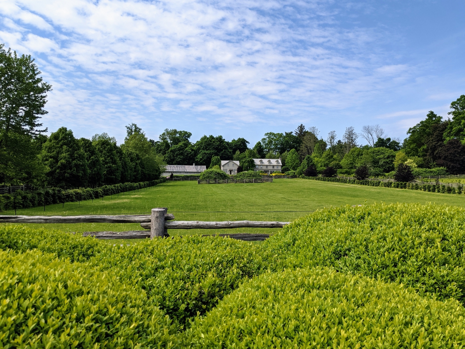 Maintaining My Garden Maze - The Martha Stewart Blog