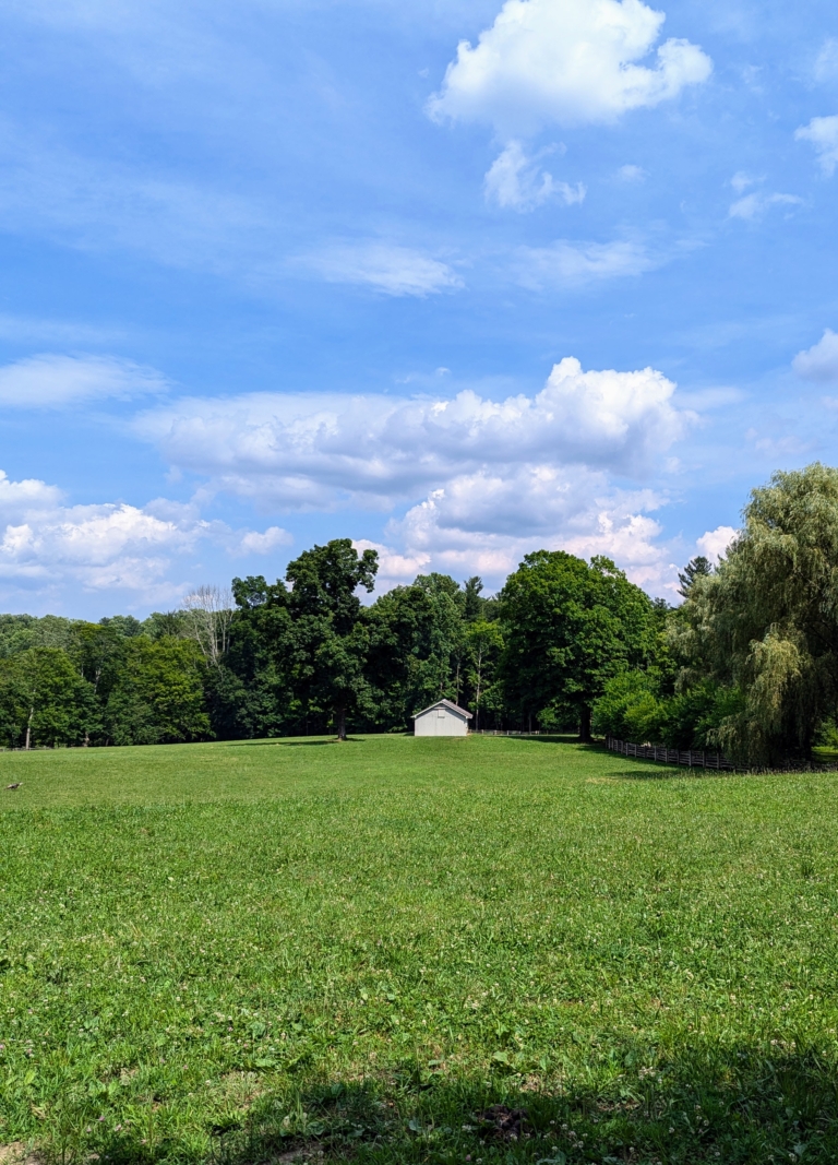 Seeding the Hayfields - The Martha Stewart Blog