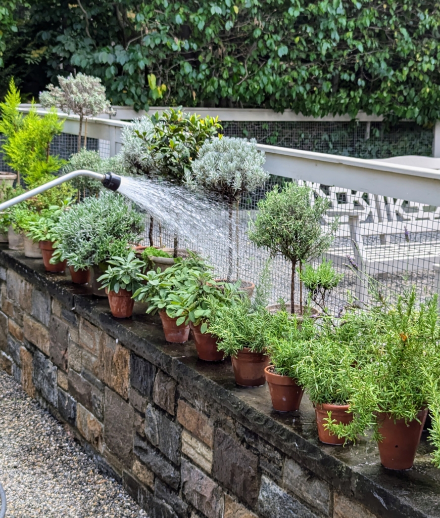 Displaying Potted Plants on My Terrace - The Martha Stewart Blog