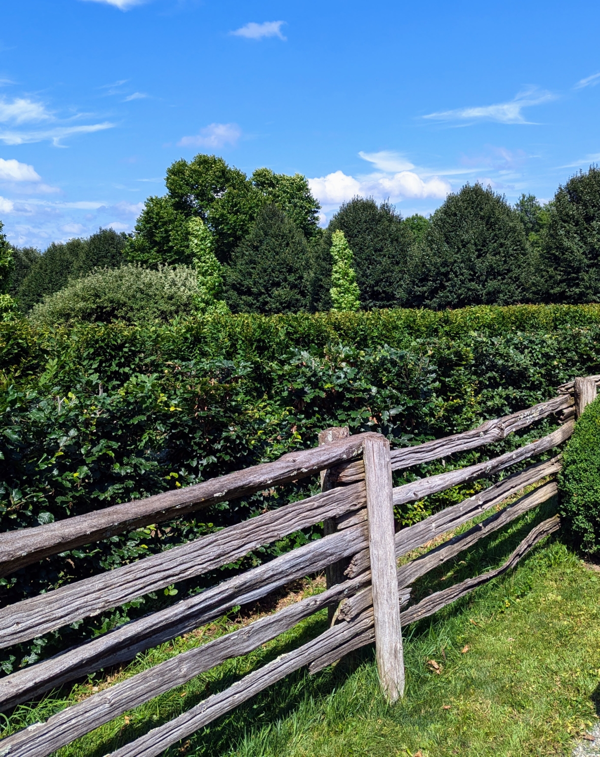 Maintaining My Garden Maze - The Martha Stewart Blog