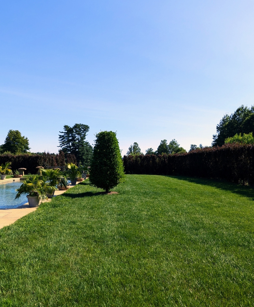 Pruning Hedges Around My Pool - The Martha Stewart Blog
