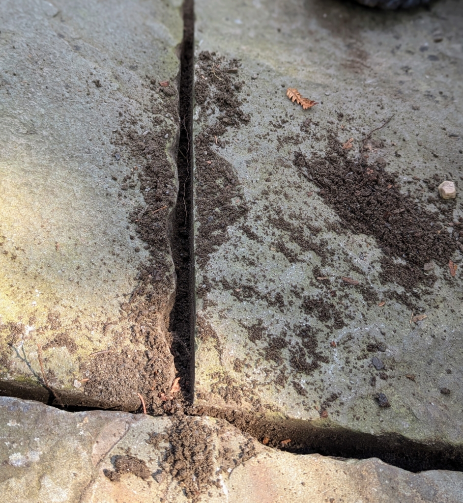 Stonework Maintenance - The Martha Stewart Blog