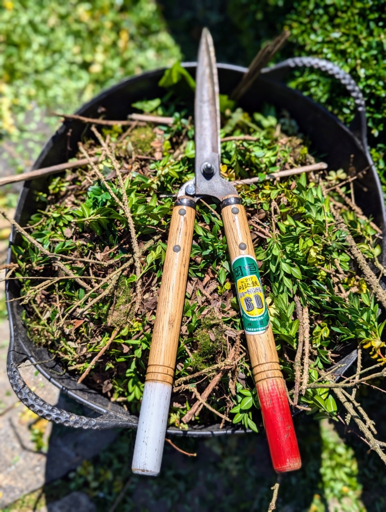 Grooming My Winter House Terrace Gardens - The Martha Stewart Blog