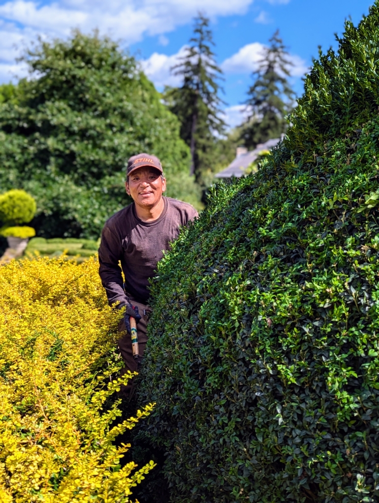 Grooming My Winter House Terrace Gardens - The Martha Stewart Blog