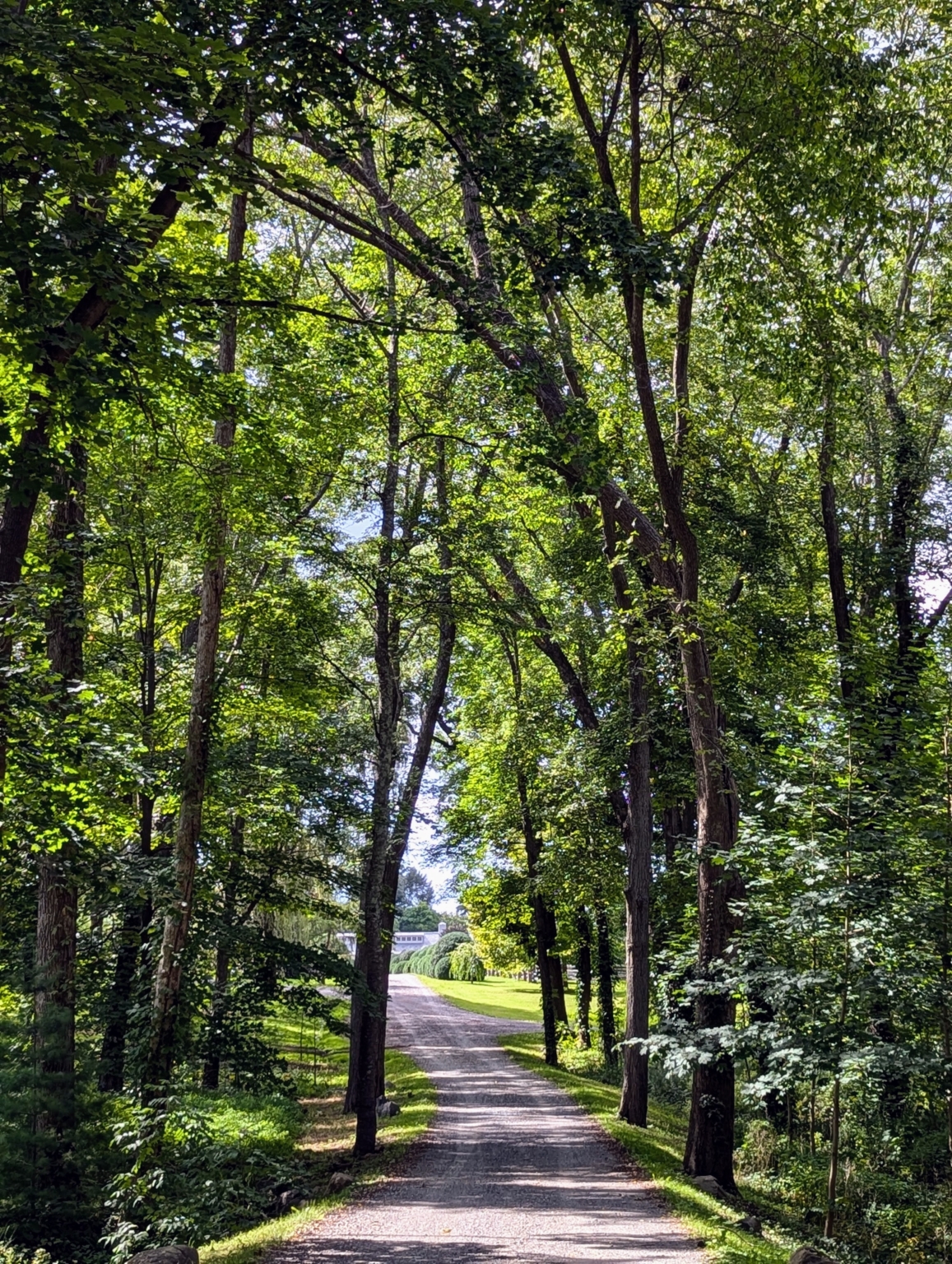 Trees Around My Farm - The Martha Stewart Blog