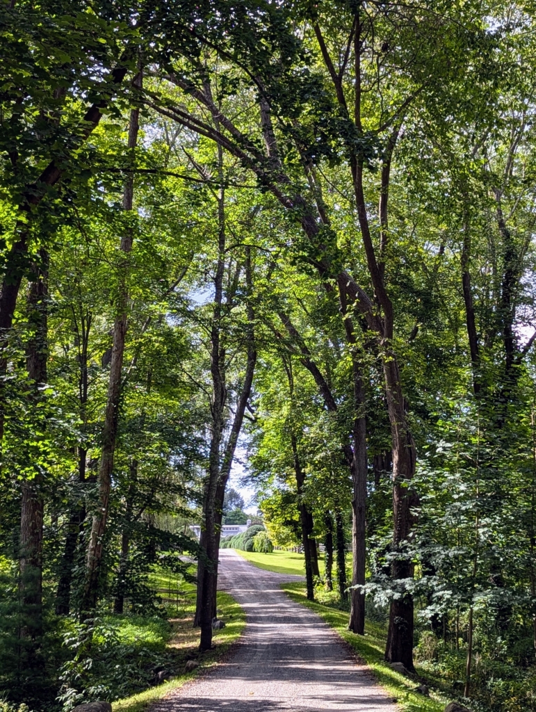 Trees Around My Farm - The Martha Stewart Blog