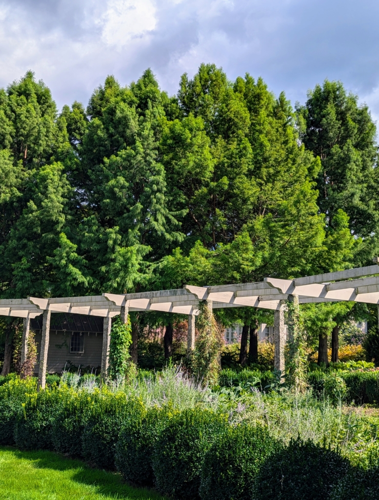 Trees Around My Farm - The Martha Stewart Blog