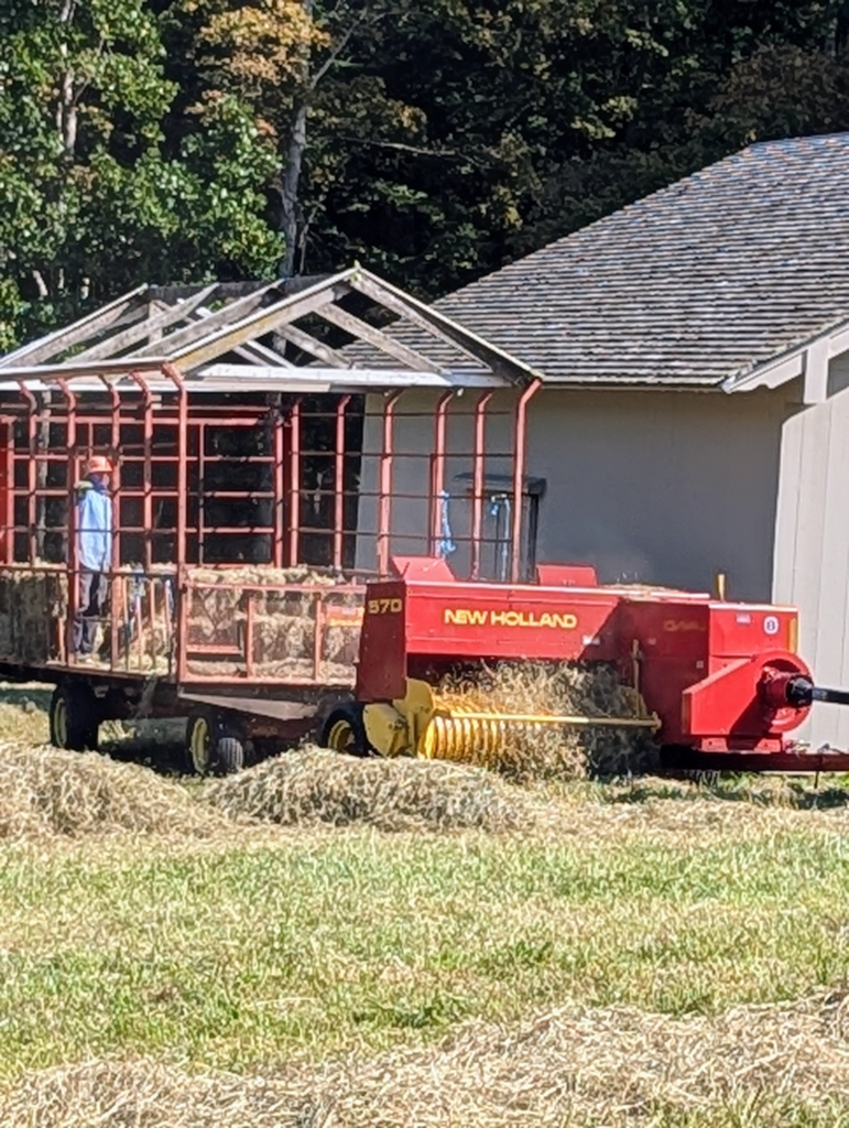 Second Cut of Hay 2024 - The Martha Stewart Blog