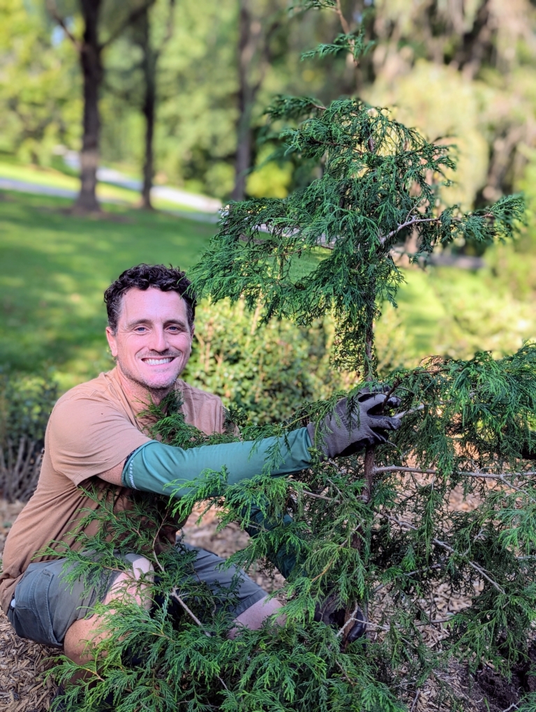 Planting Evergreens in My Pinetum - The Martha Stewart Blog