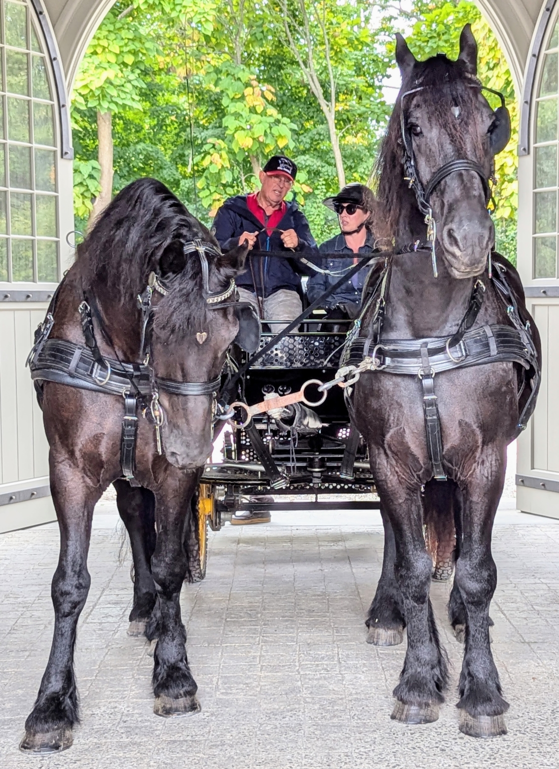 Carriage Rides Around My Farm - The Martha Stewart Blog