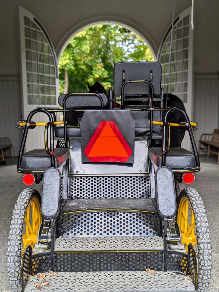 Carriage Rides Around My Farm - The Martha Stewart Blog