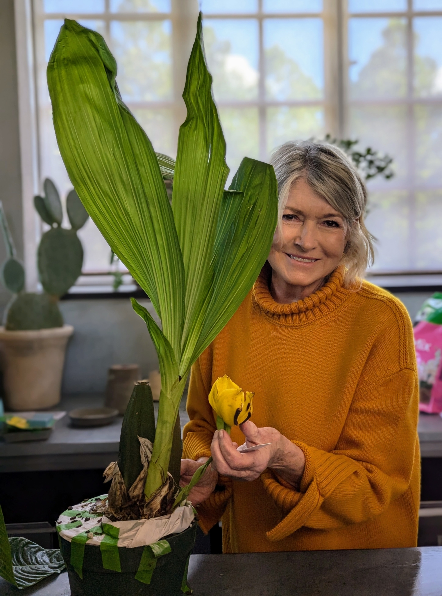 Plants from the Amazon Horticulture Plant Collection - The Martha ...