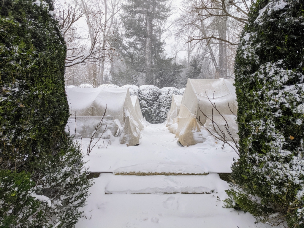 My Summer House Garden Through the Seasons - The Martha Stewart Blog