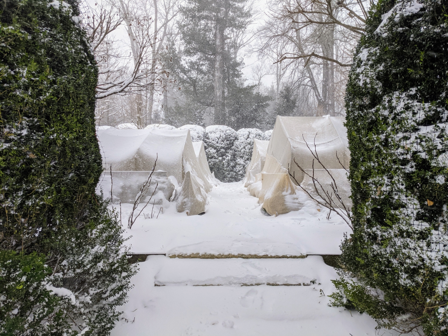 My Summer House Garden Through the Seasons - The Martha Stewart Blog