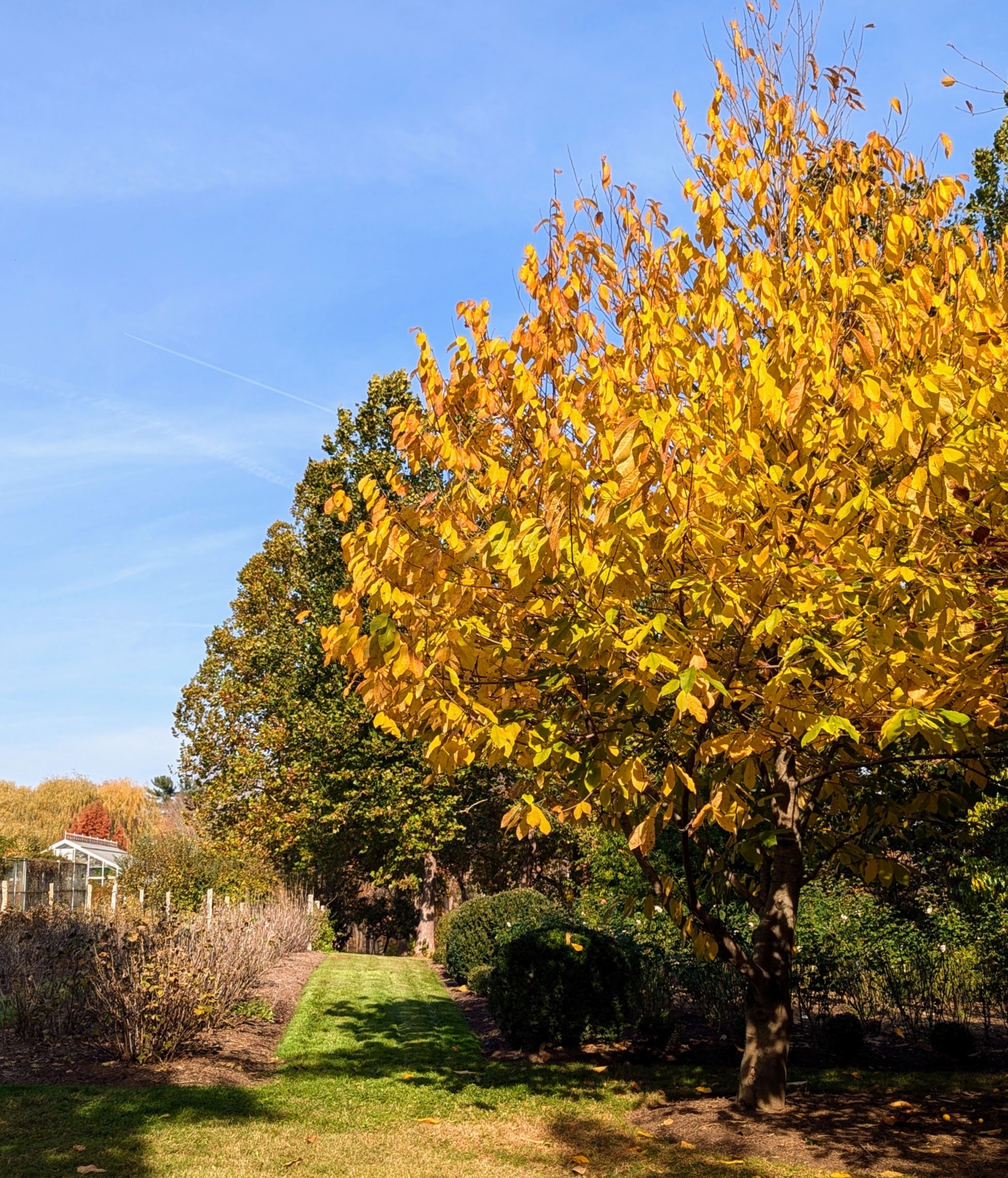November Colors at My Farm - The Martha Stewart Blog