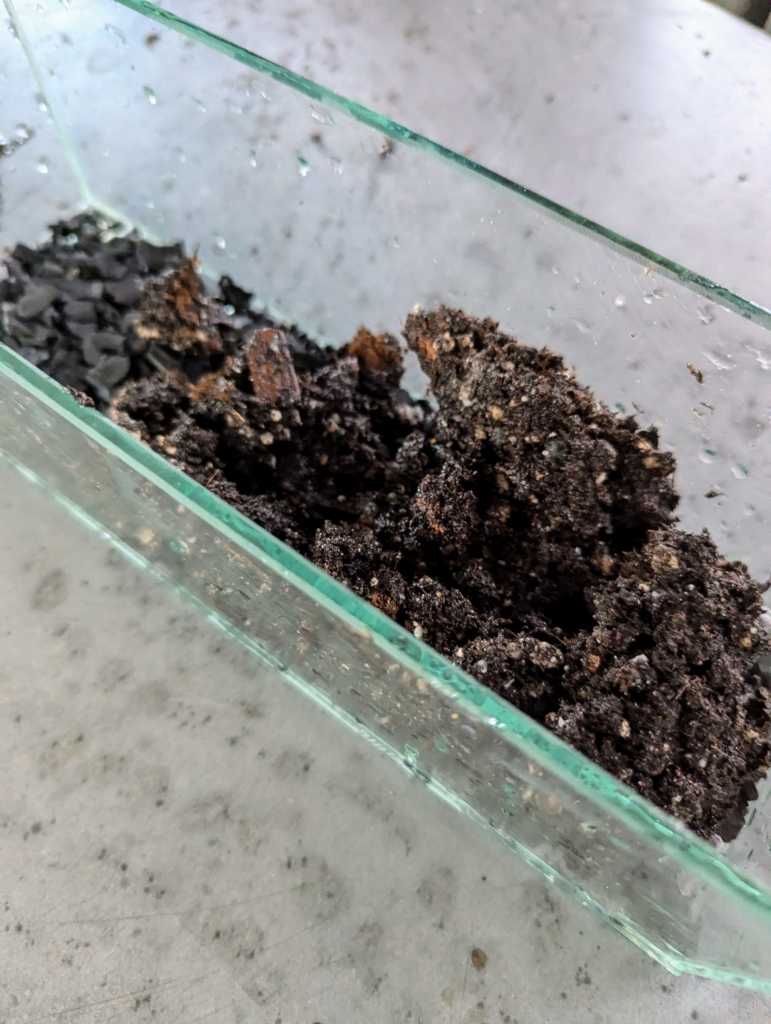 Bog-Loving Plants for My Greenhouse - The Martha Stewart Blog