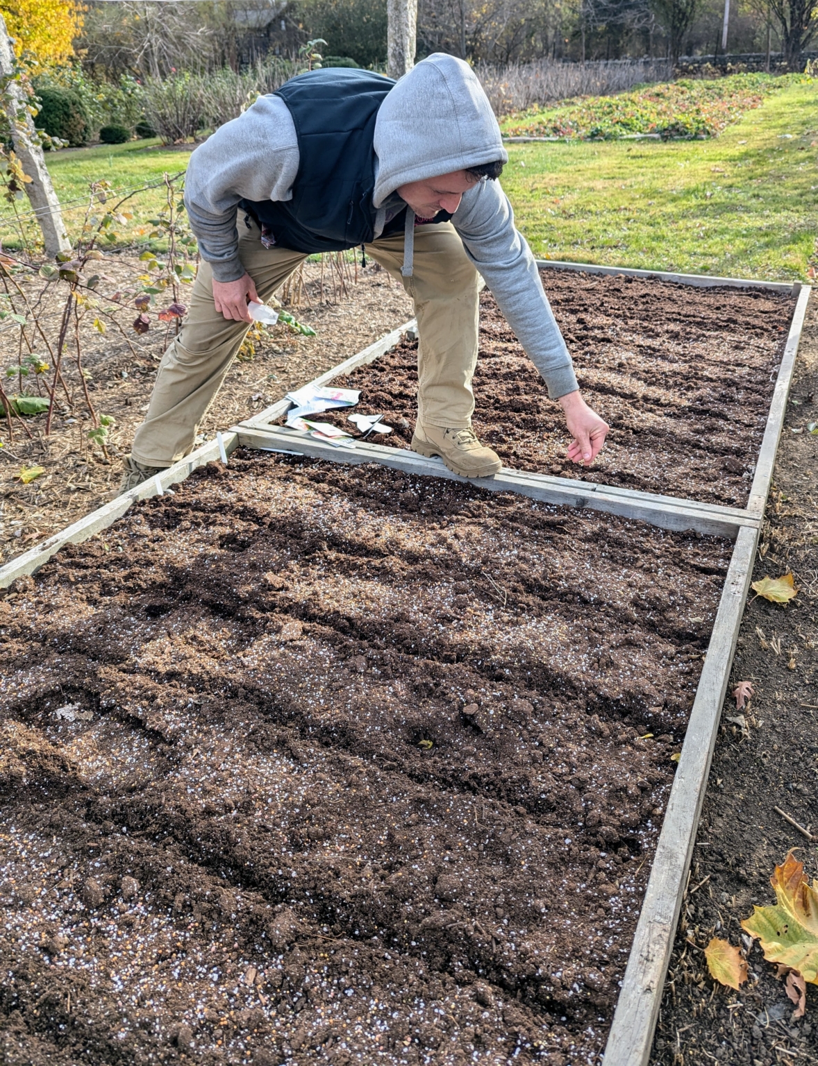 Planting Flower Seeds Outdoors - The Martha Stewart Blog