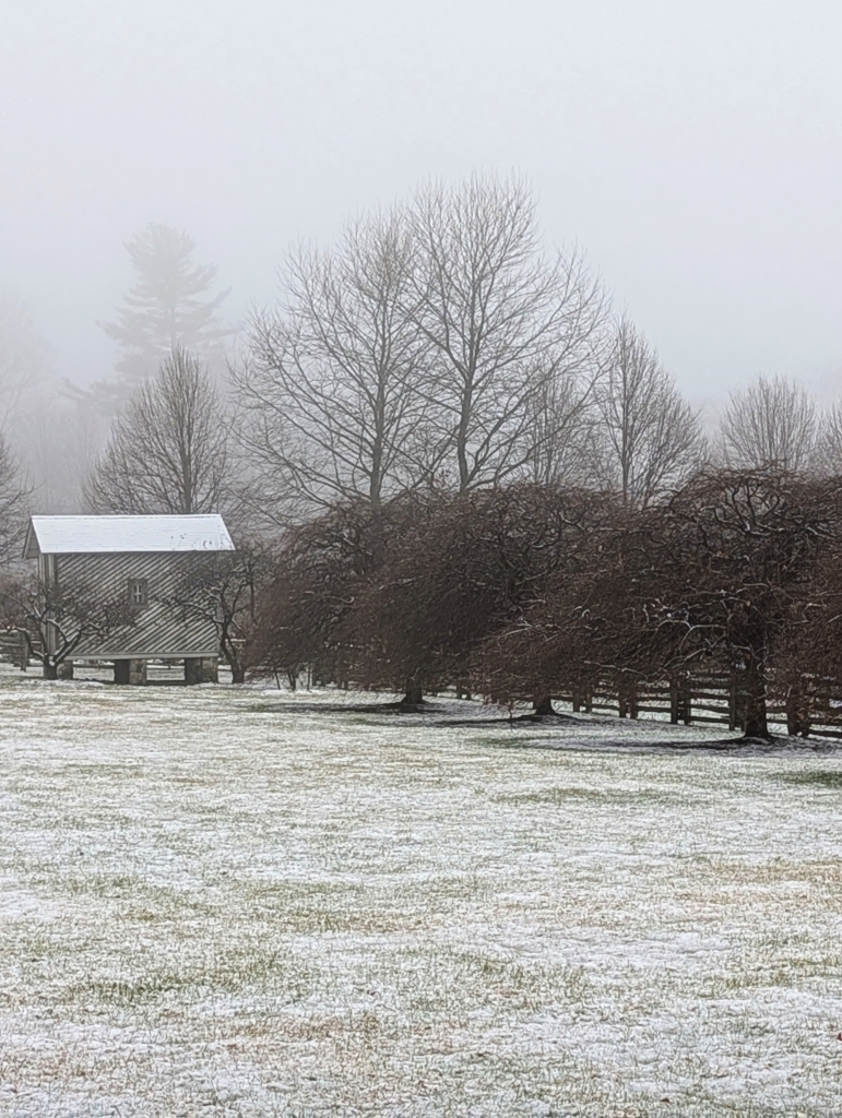 A Light Snow Over My Farm - The Martha Stewart Blog