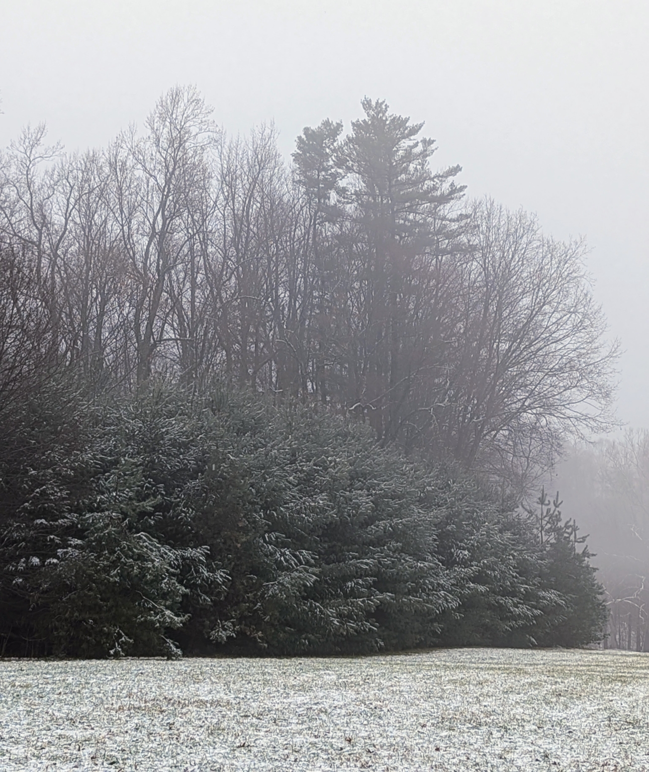 A Light Snow Over My Farm - The Martha Stewart Blog