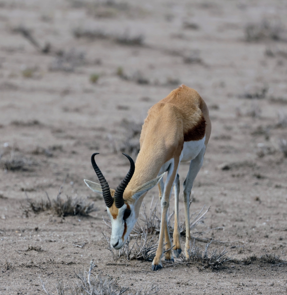 Photos of Namibia by Ari Katz - The Martha Stewart Blog