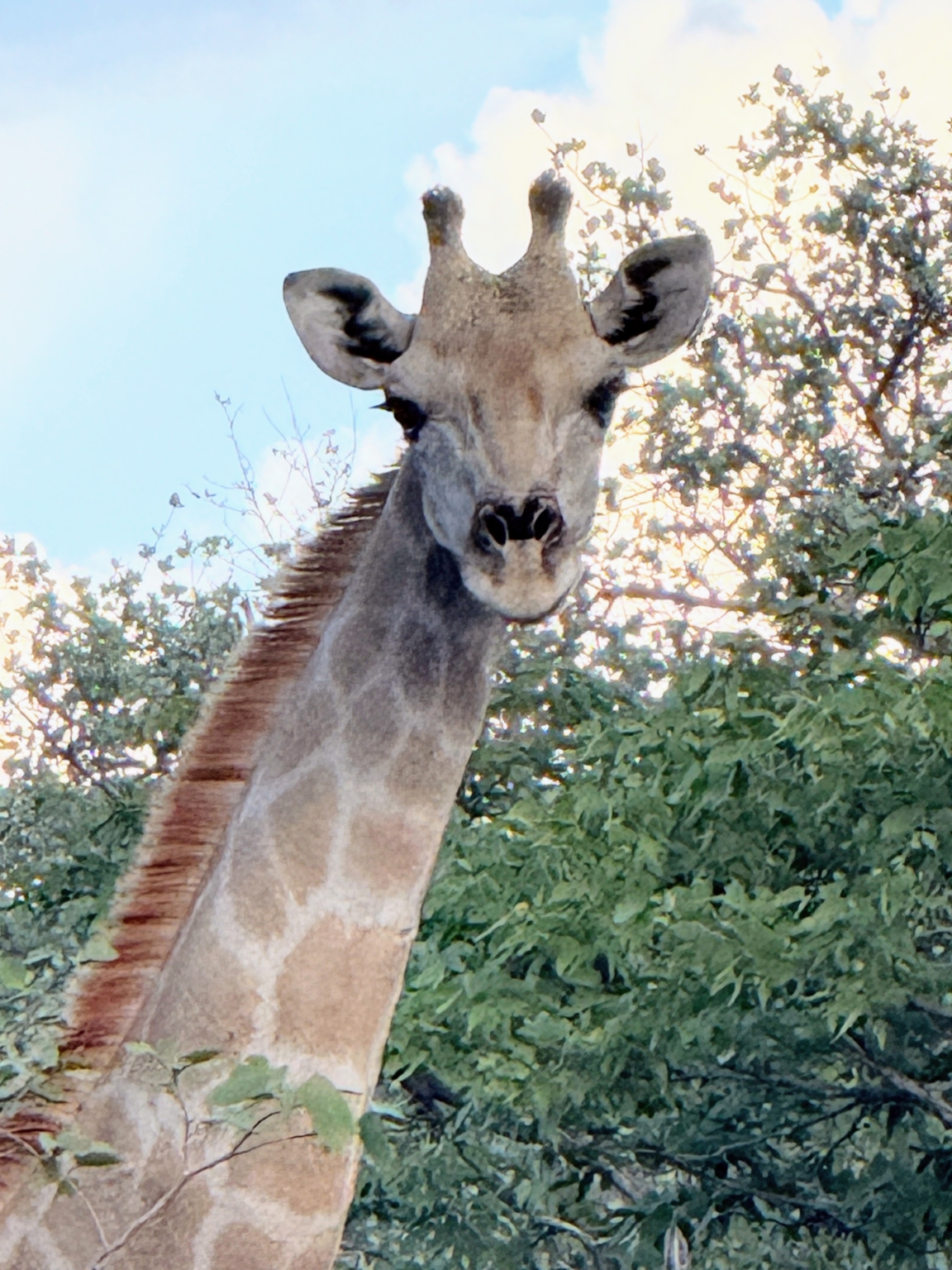 My Holiday Family Trip to Namibia - The Martha Stewart Blog