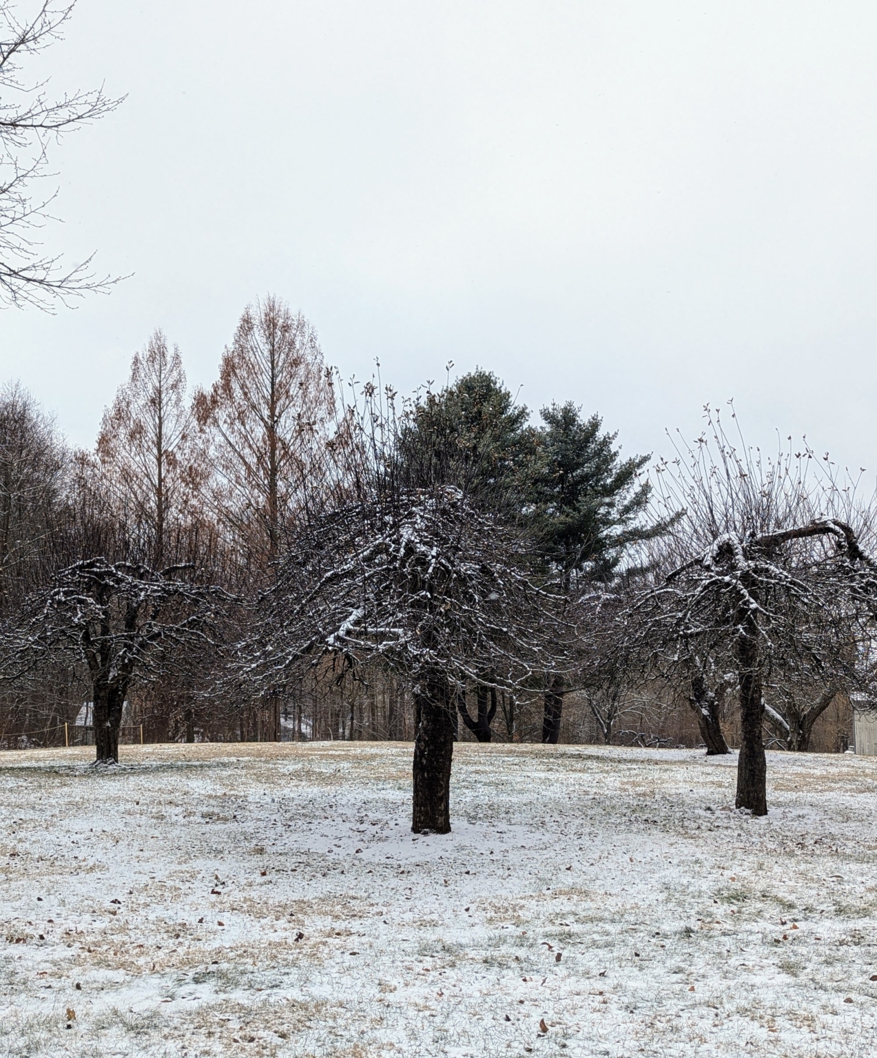 The Martha Stewart Blog : Blog Archive A Day of Flurries at My Farm ...