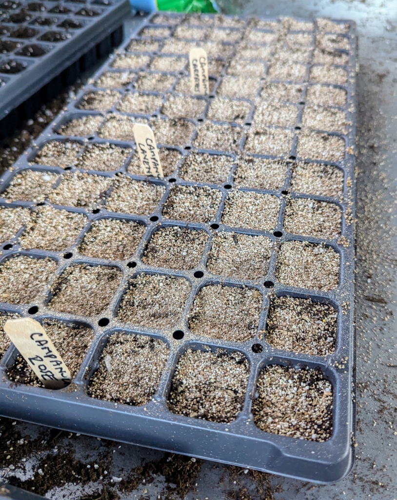 Starting Flower Seeds Indoors - The Martha Stewart Blog