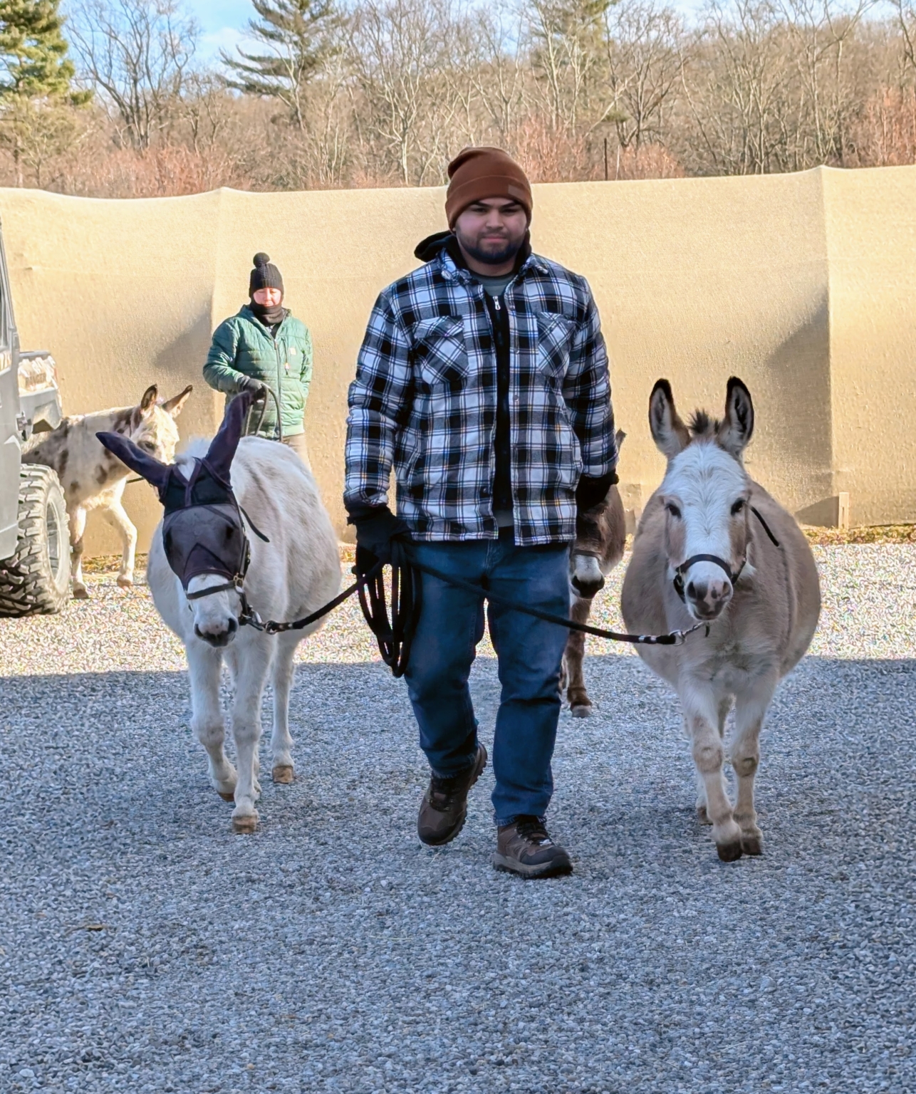 Winter Tasks at My Farm - The Martha Stewart Blog