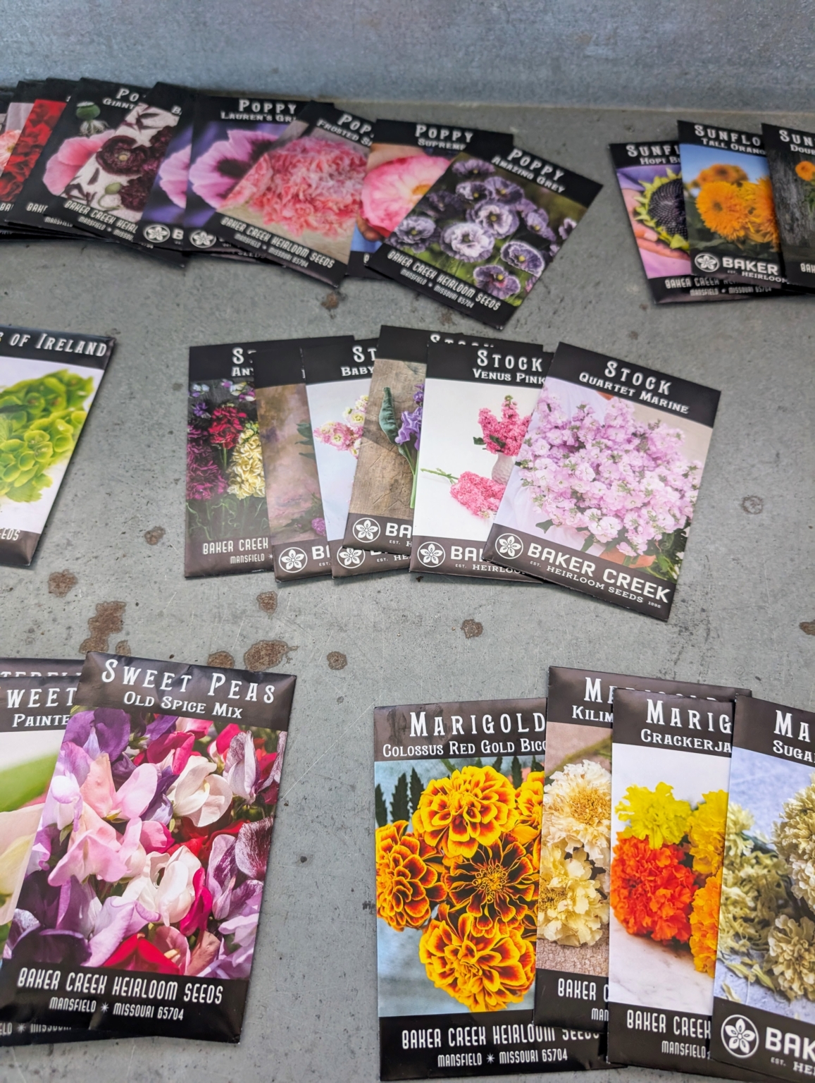 The Martha Stewart Blog : Blog Archive Seeds from Baker Creek Heirloom ...