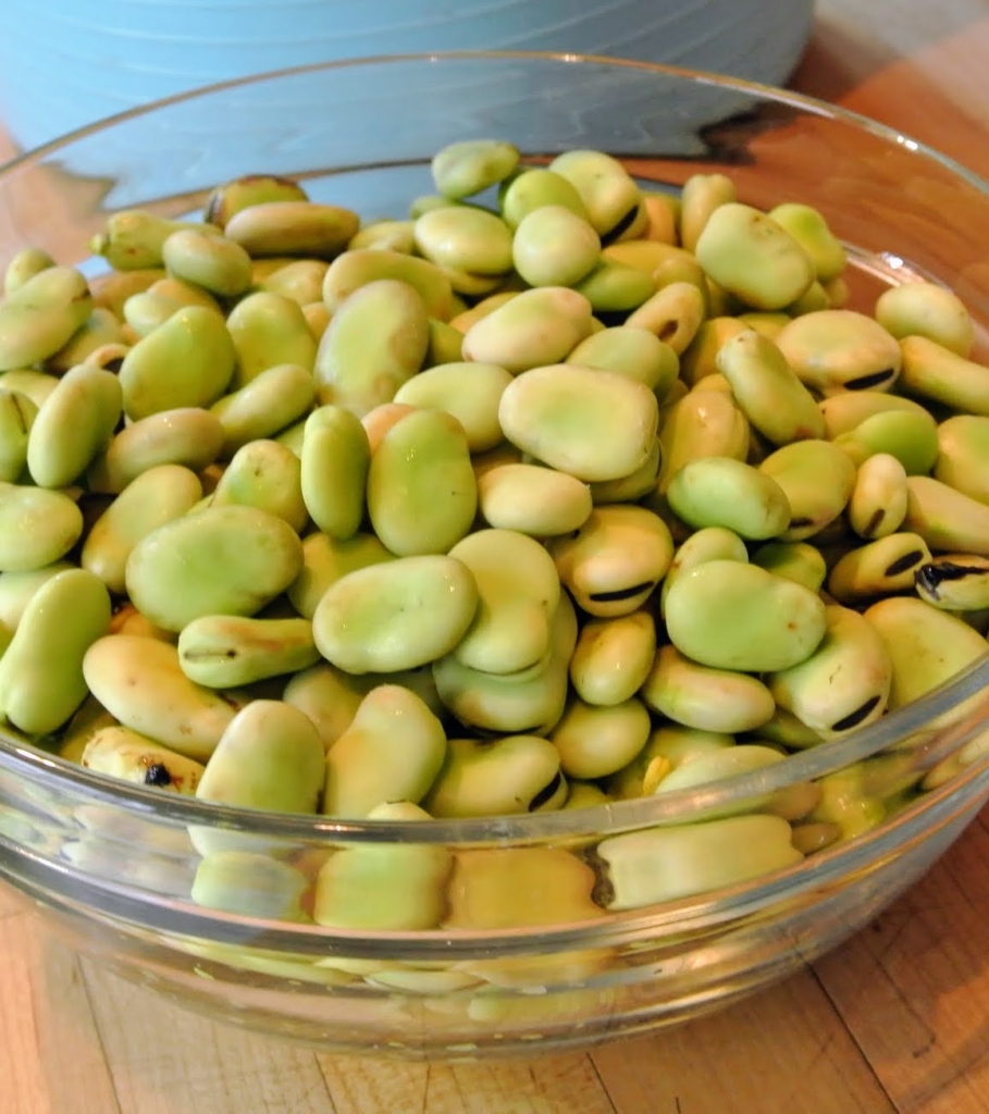 Planting Peas and Fava Beans in My Vegetable Garden - The Martha ...