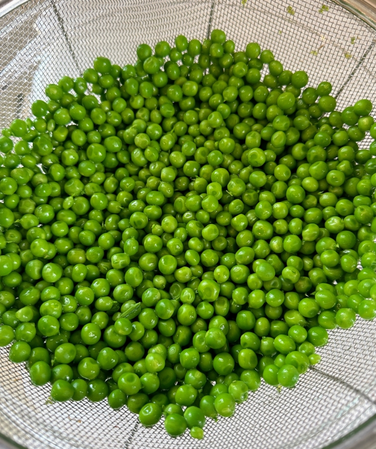 Planting Peas and Fava Beans in My Vegetable Garden - The Martha ...