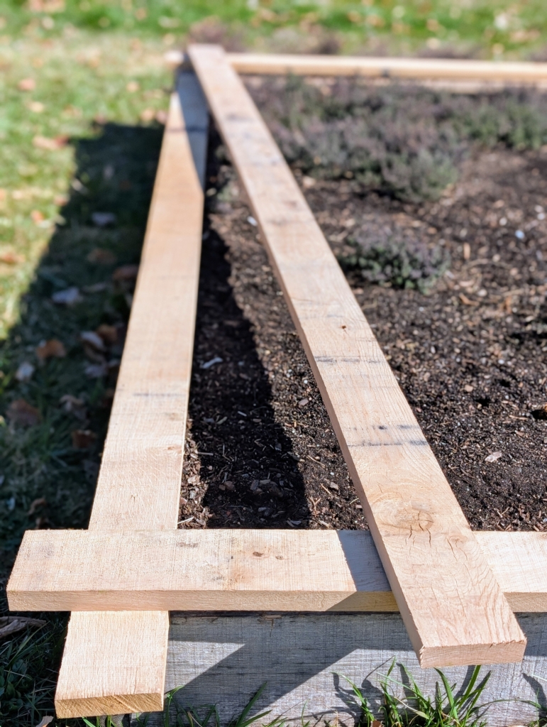 Reinforcing My Raised Vegetable Garden Beds - The Martha Stewart Blog
