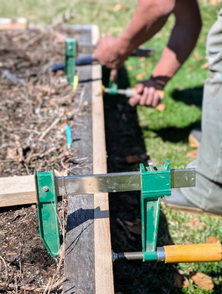 Reinforcing My Raised Vegetable Garden Beds - The Martha Stewart Blog