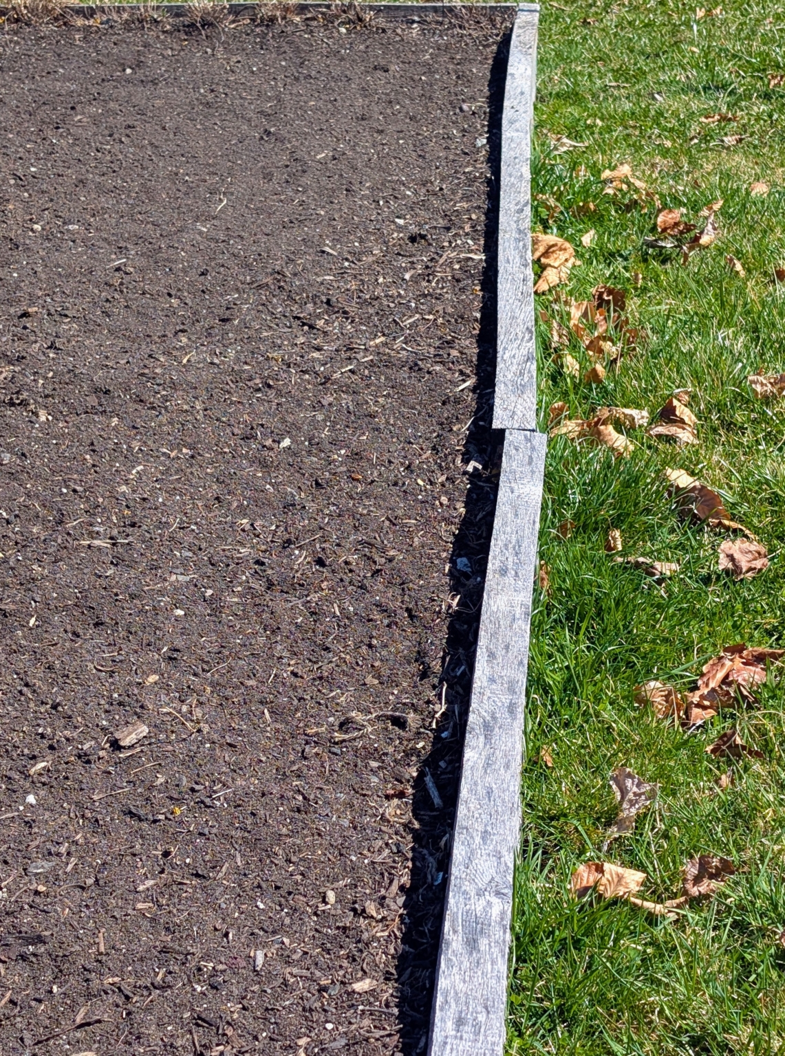 Reinforcing My Raised Vegetable Garden Beds - The Martha Stewart Blog