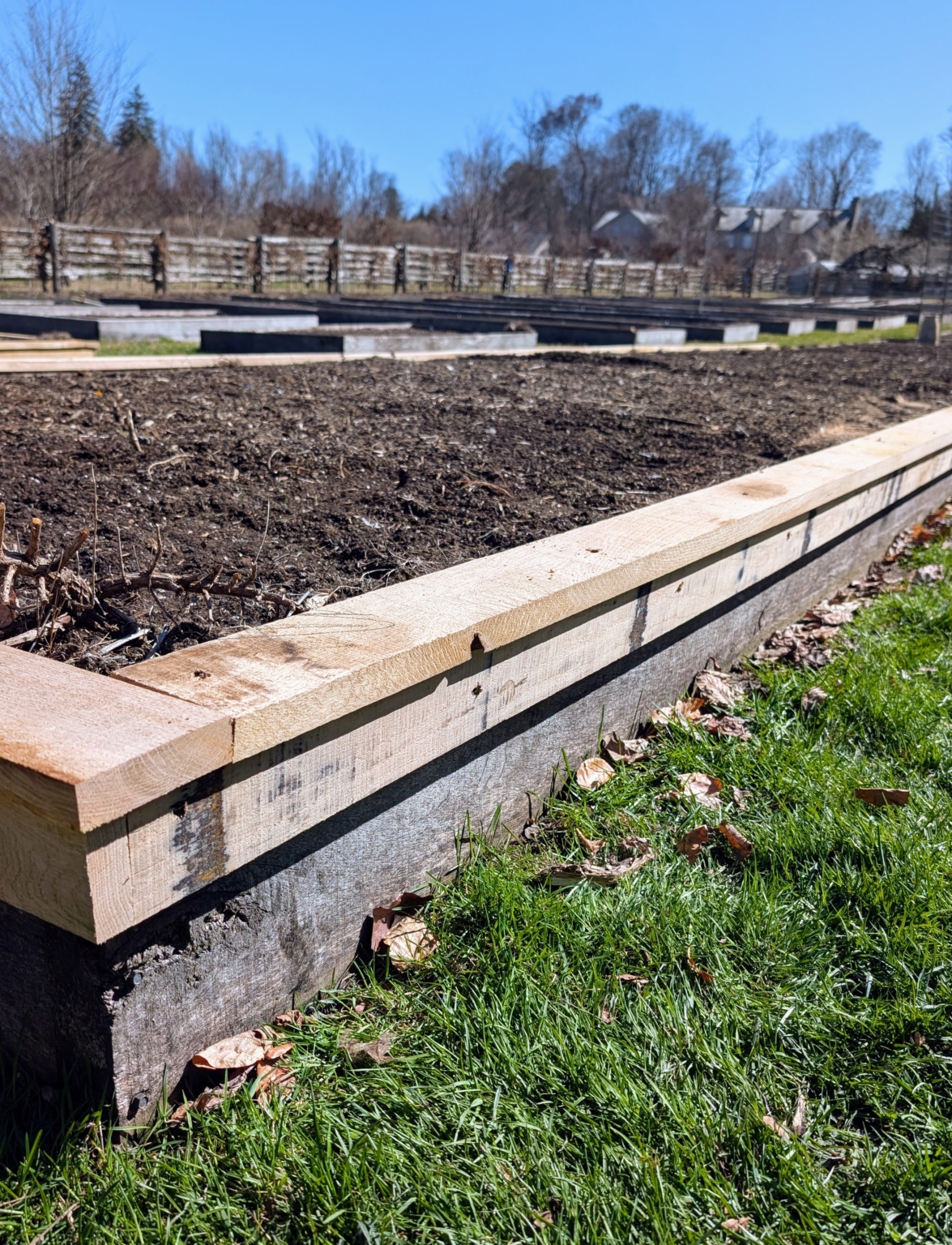 Reinforcing My Raised Vegetable Garden Beds - The Martha Stewart Blog