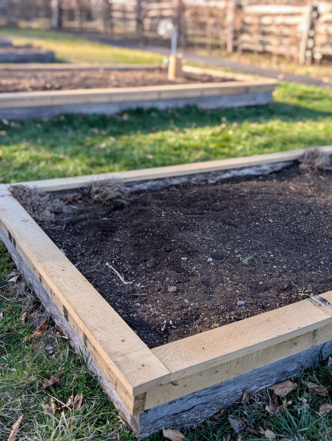 Reinforcing My Raised Vegetable Garden Beds - The Martha Stewart Blog