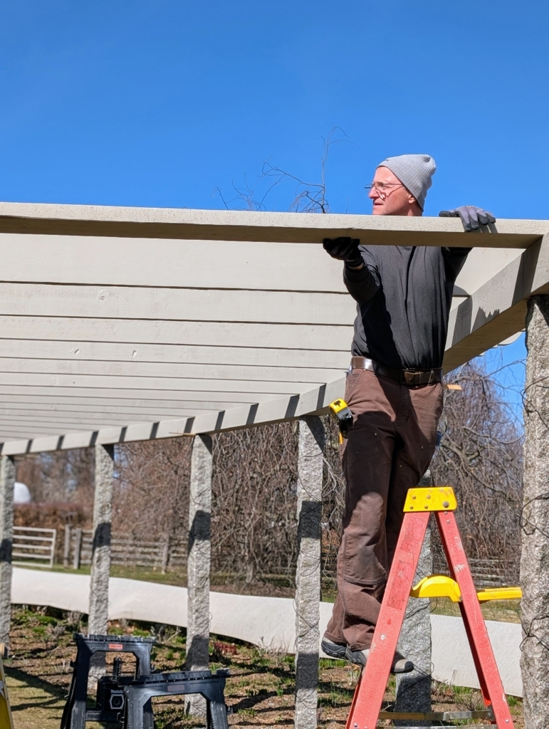 Finishing My Pergola Restoration Project - The Martha Stewart Blog
