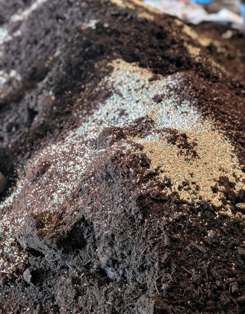 Potting Bare-Root Cuttings - The Martha Stewart Blog