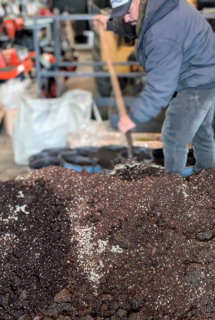 Potting Bare-Root Cuttings - The Martha Stewart Blog