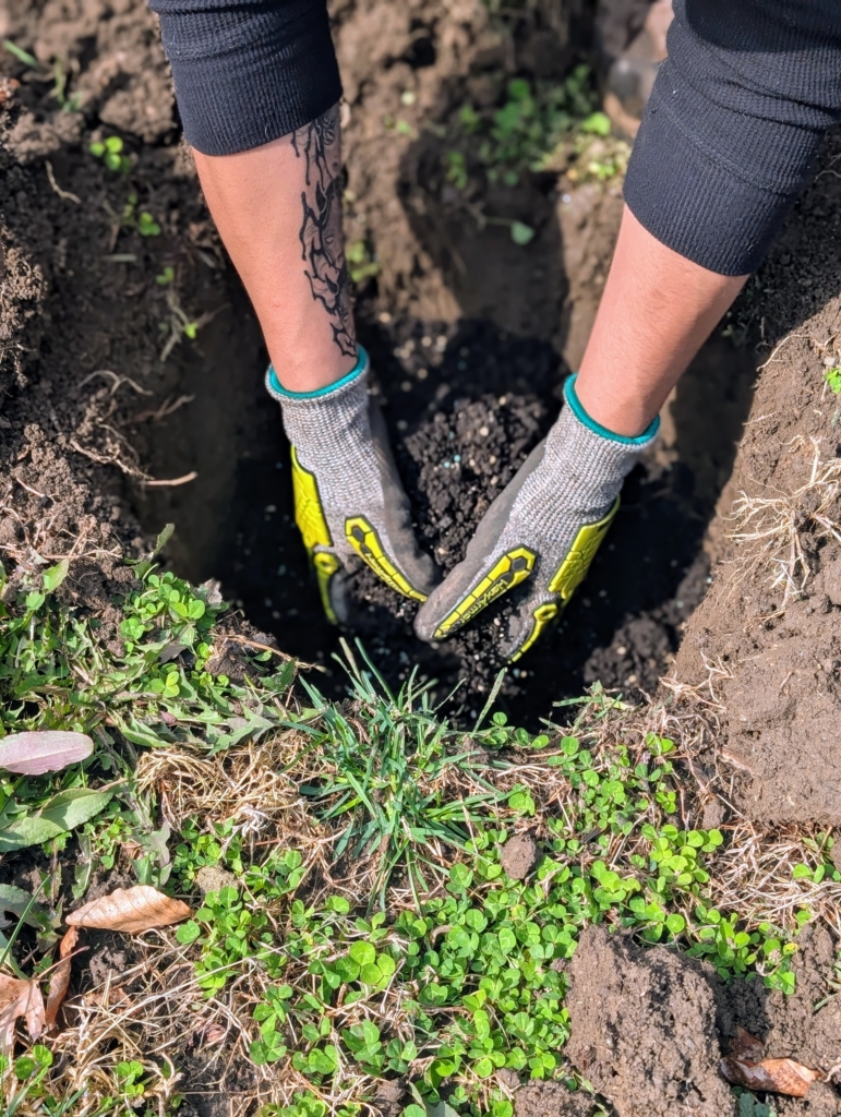 Planting Fruit Trees in My Orchard - The Martha Stewart Blog