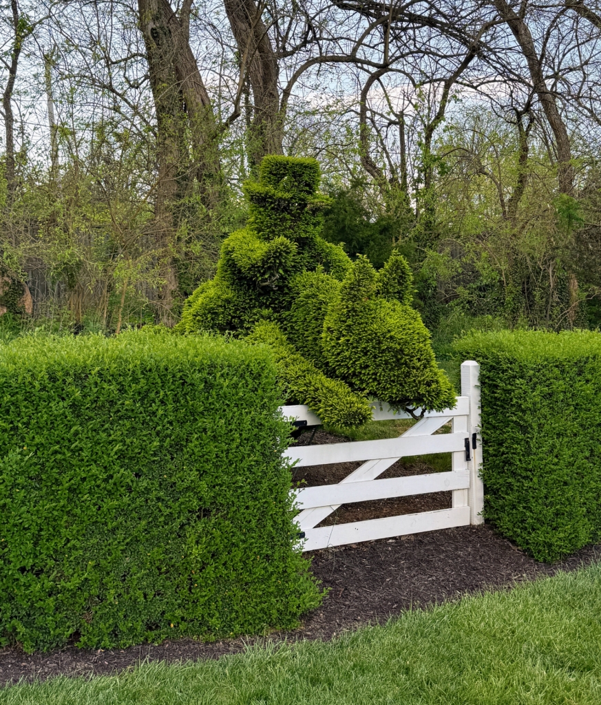 Visiting Ladew Topiary Gardens - The Martha Stewart Blog